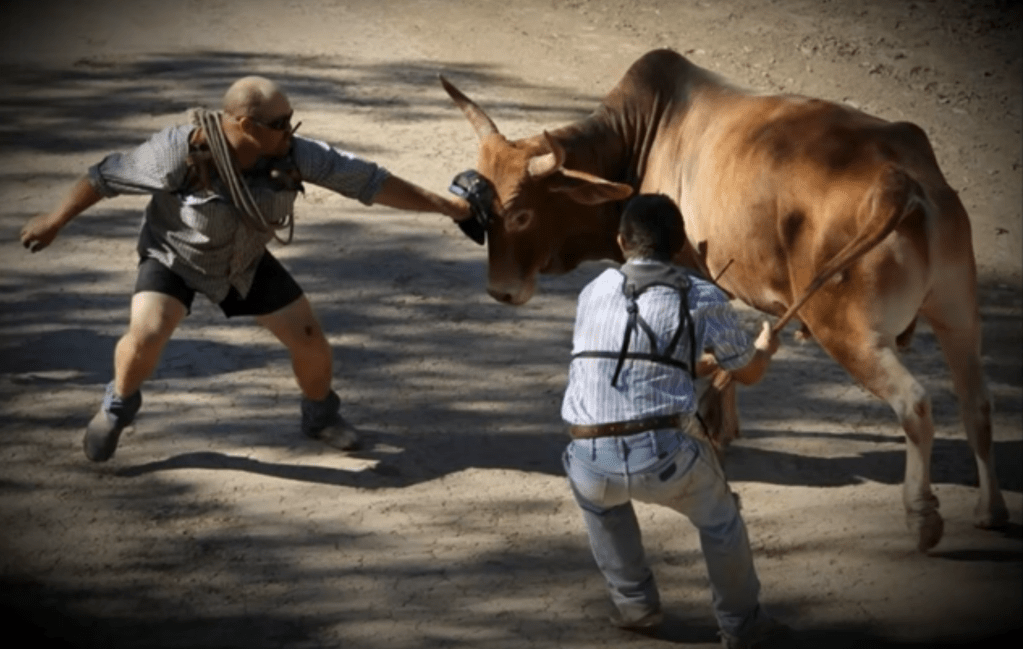 Articles and Press – The Lost Cowboy