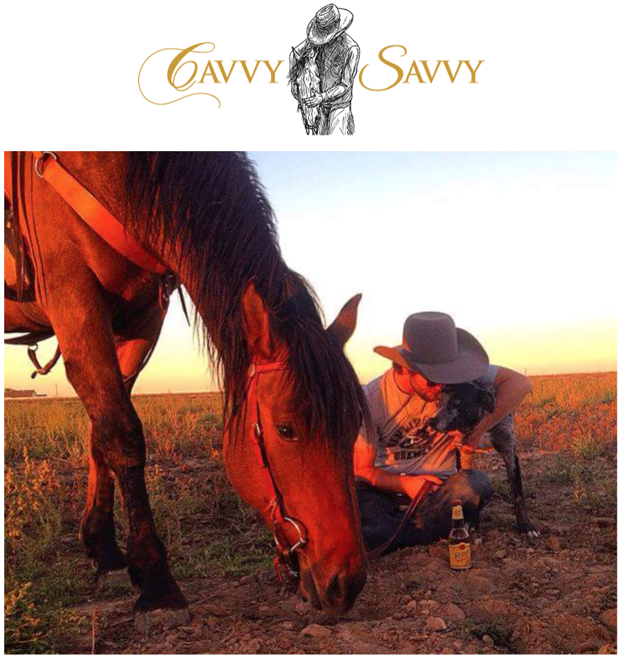 Articles and Press – The Lost Cowboy